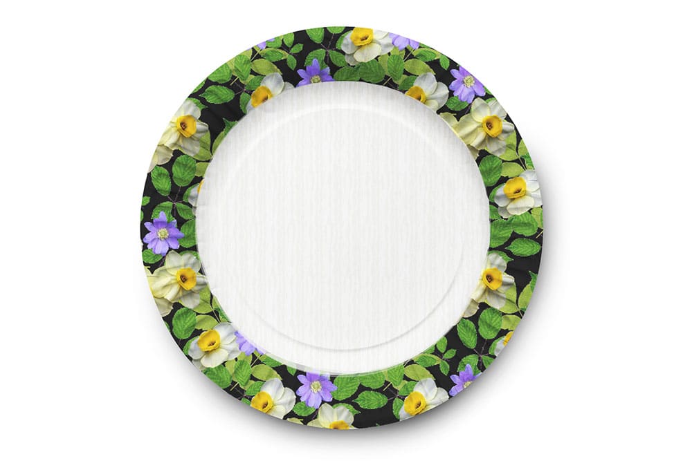 Download This Free Paper Plate Mockup In PSD - Designhooks