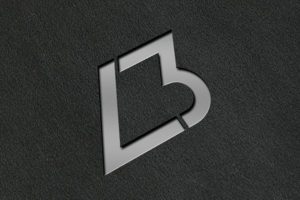Download This Free Debossed Logo Mockup - Designhooks