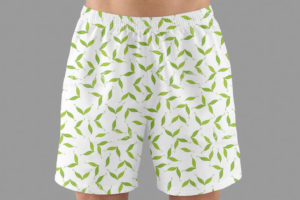 Download This Free Boxer Shorts Mockup - Designhooks
