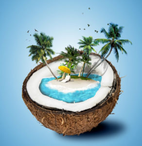 Free Creative Open Coconut Mockup in PSD - DesignHooks