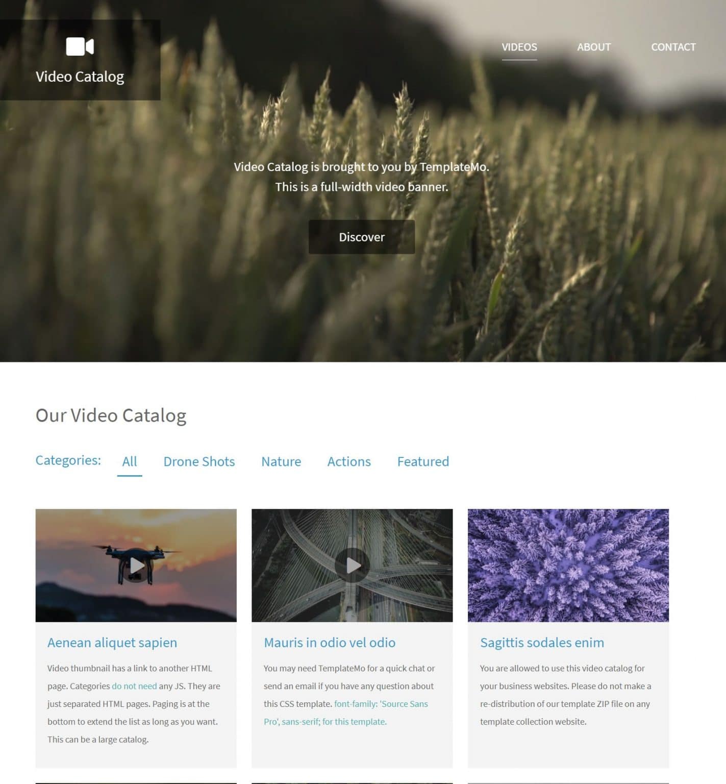 Video Catalog - Video Gallery Website HTML Template - DesignHooks